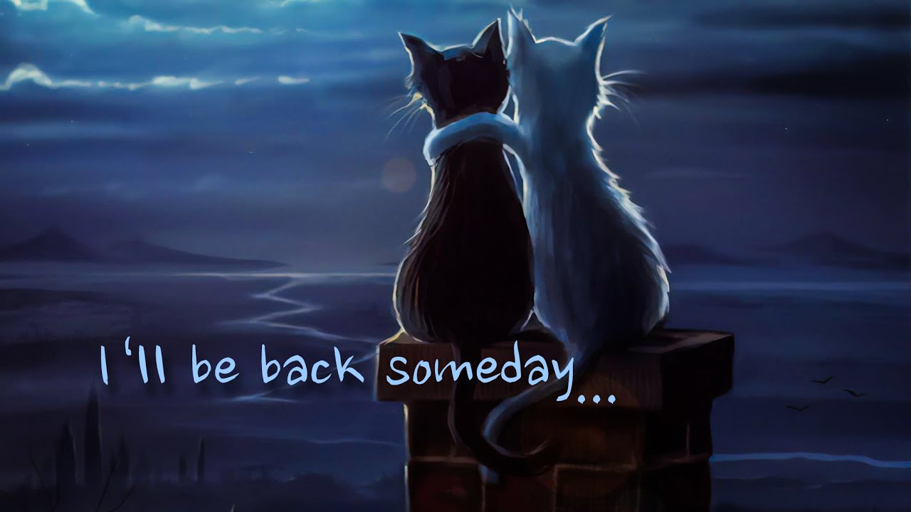 I'll be back someday... - YouTube