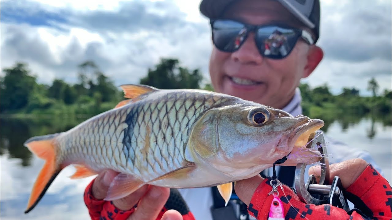 Finesse Fishing At Tasik Bukit Merah - YouTube