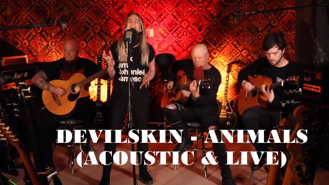 Devilskin - Animal (Acoustic Version) Performed For The 2017 VNZMA's ...