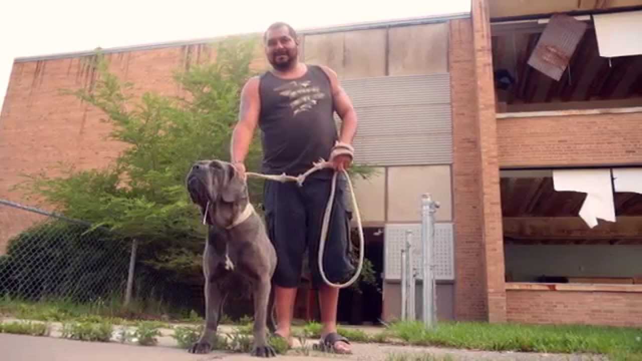 CODY HIGH: A LIFE REMODELED PROJECT - Official Trailer - YouTube