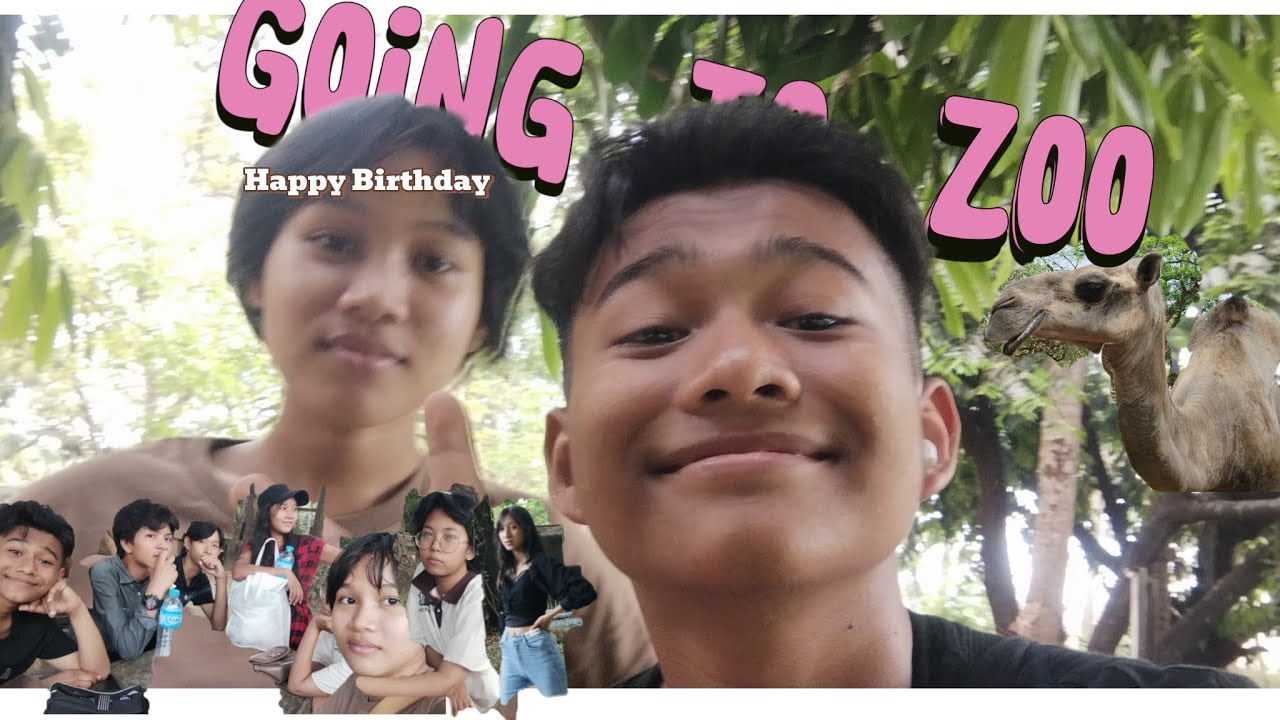 Going to the Zoo 🐘🐼🐯 (Vlog) - YouTube