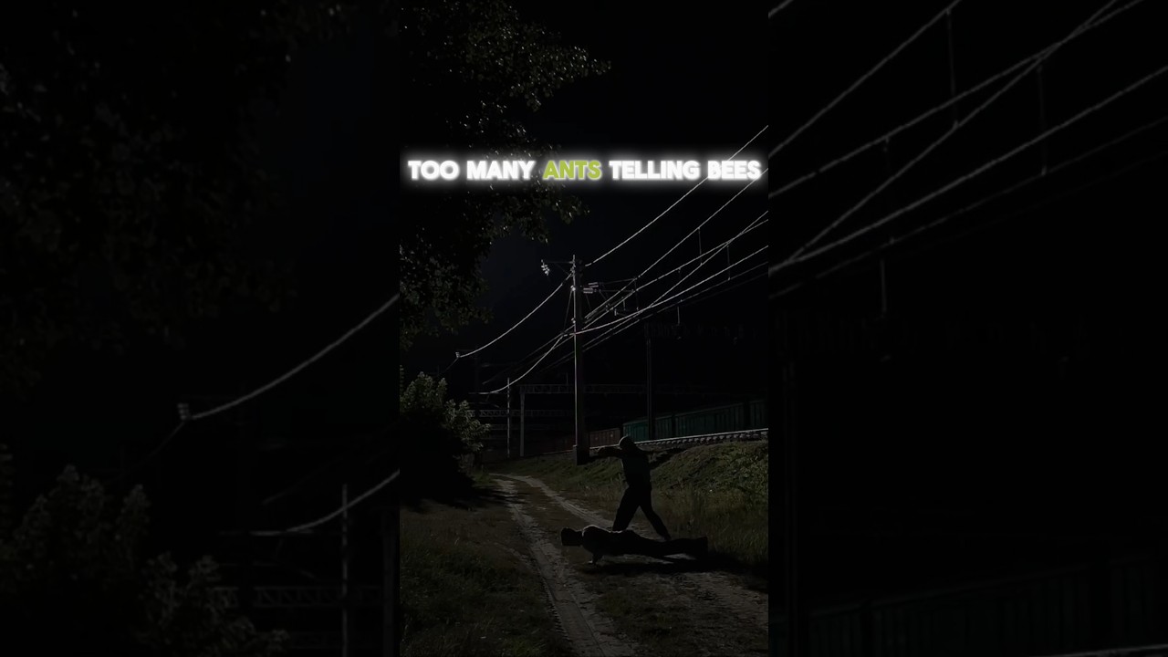 my honest reply for my advisors 😈😈#motivation #shorts #trendingshorts # ...