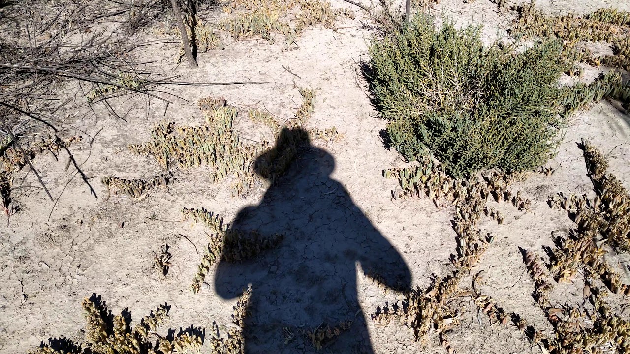 Exploring Moorook Game Reserve - YouTube