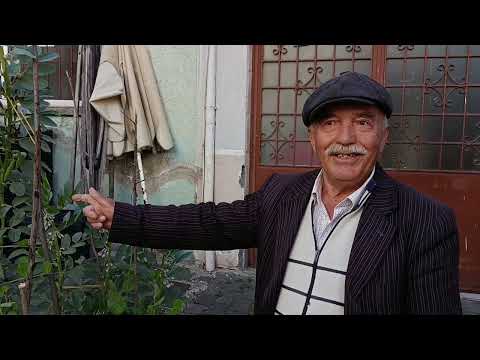 GİRESUN'DA BEN BÖYLE ÇARŞI-PAZAR GÖRMEDİM...