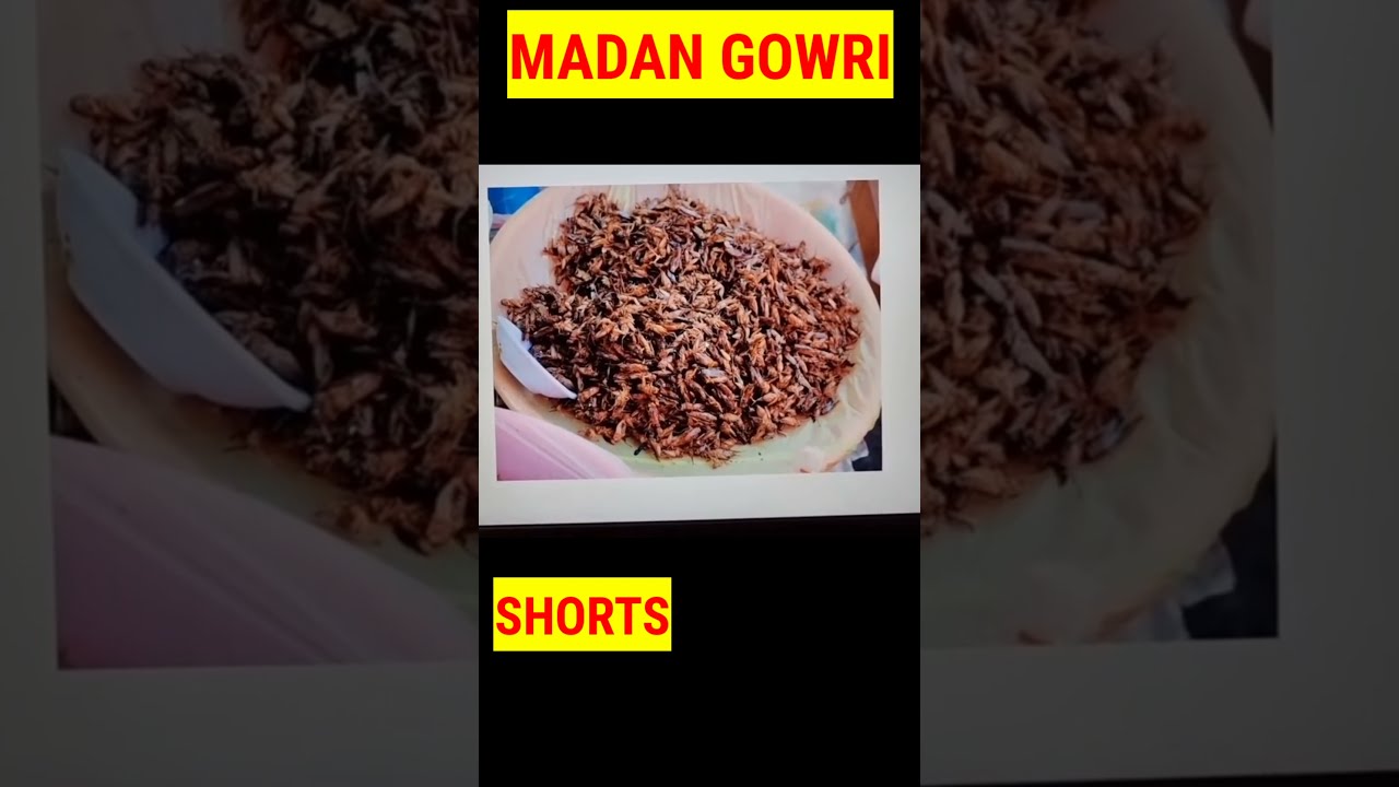 Jing Leed Food | Crazy Food | Tamil | Madan Gowri | MG #shorts - YouTube