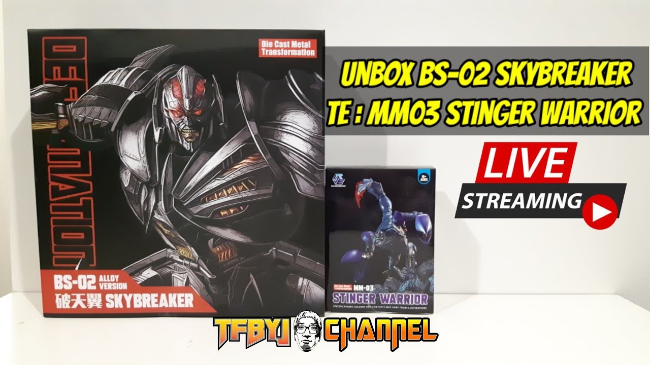 Unbox BS-02 Skybreaker & TE : MM03 Stinger Warrior - YouTube