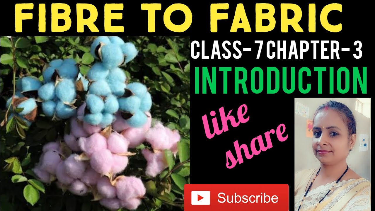 fibre to fabric | class- 7 | ncert science | chapter- 3| explanation in ...