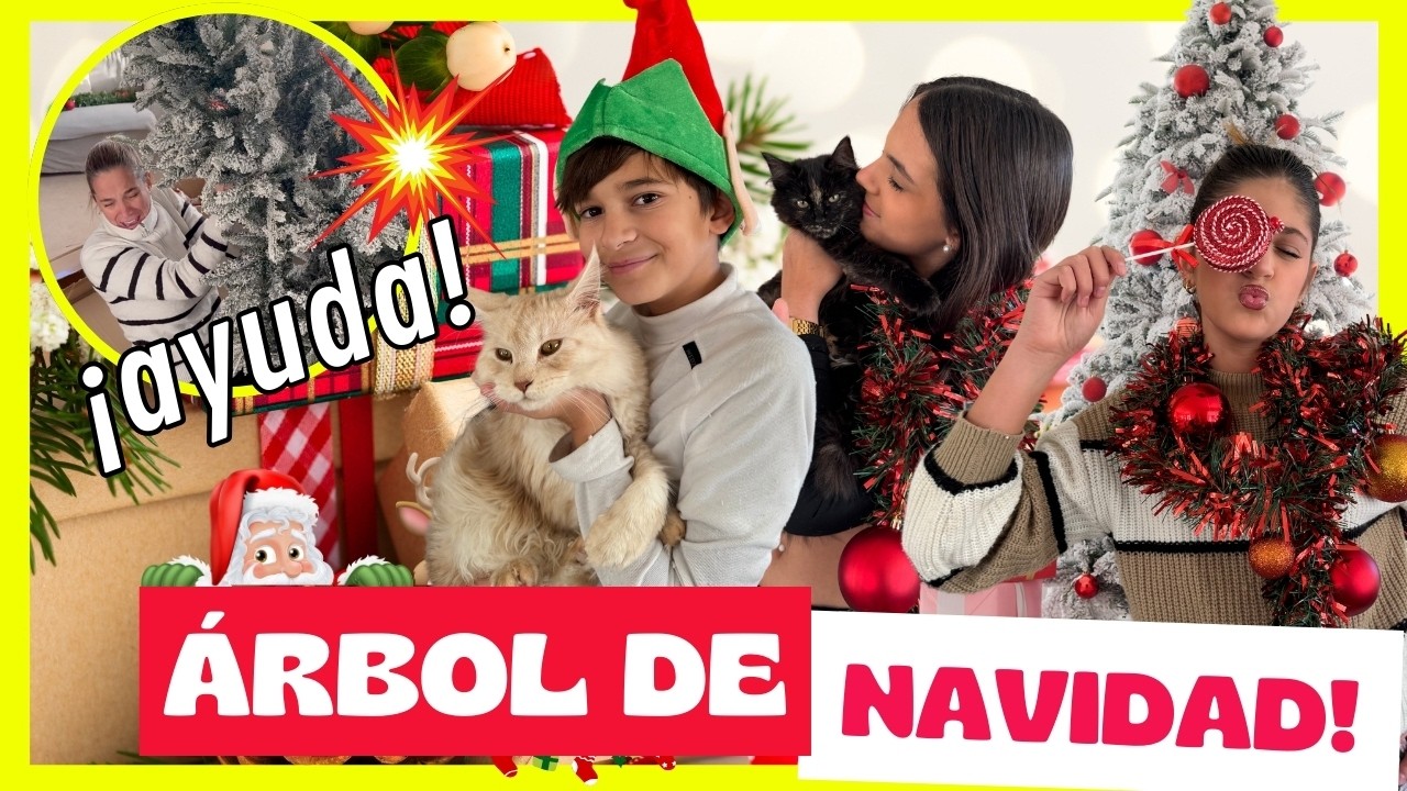 🇳🇴🎅🏻 Rutina de Navidad en Familia Montamos y Decoramos el Árbol de ...