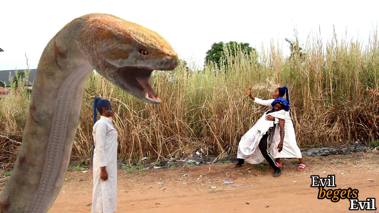 Evil begets evil || Mr macaroni || oga sabinus yawa skits || official ...