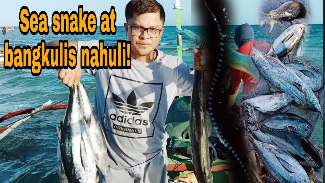 Tangigi bangkolis tamban sobra dami ng isda sa kiramona! - YouTube