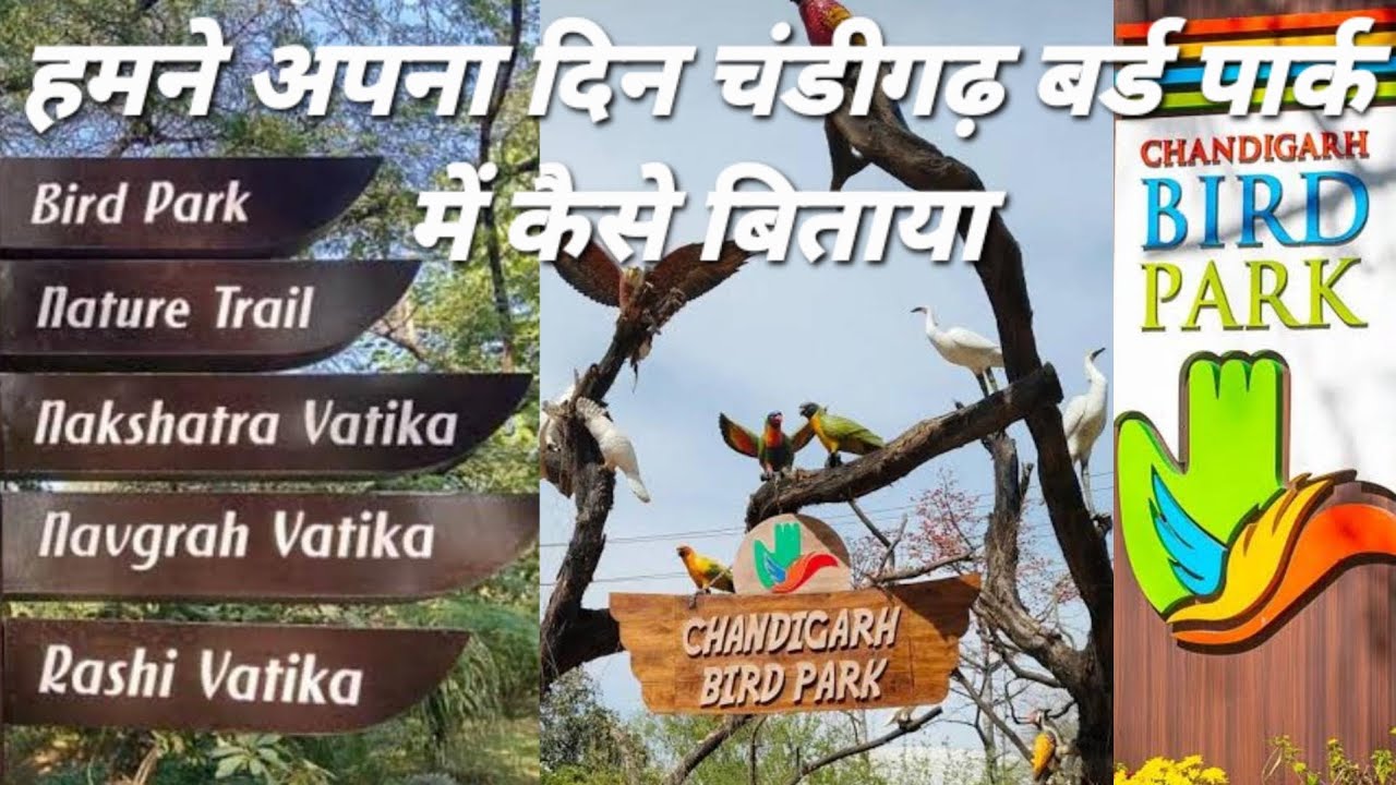 Bird Park In CHANDIGARH || Bird park TICKET PRICE, LOCATION and TIMING ...