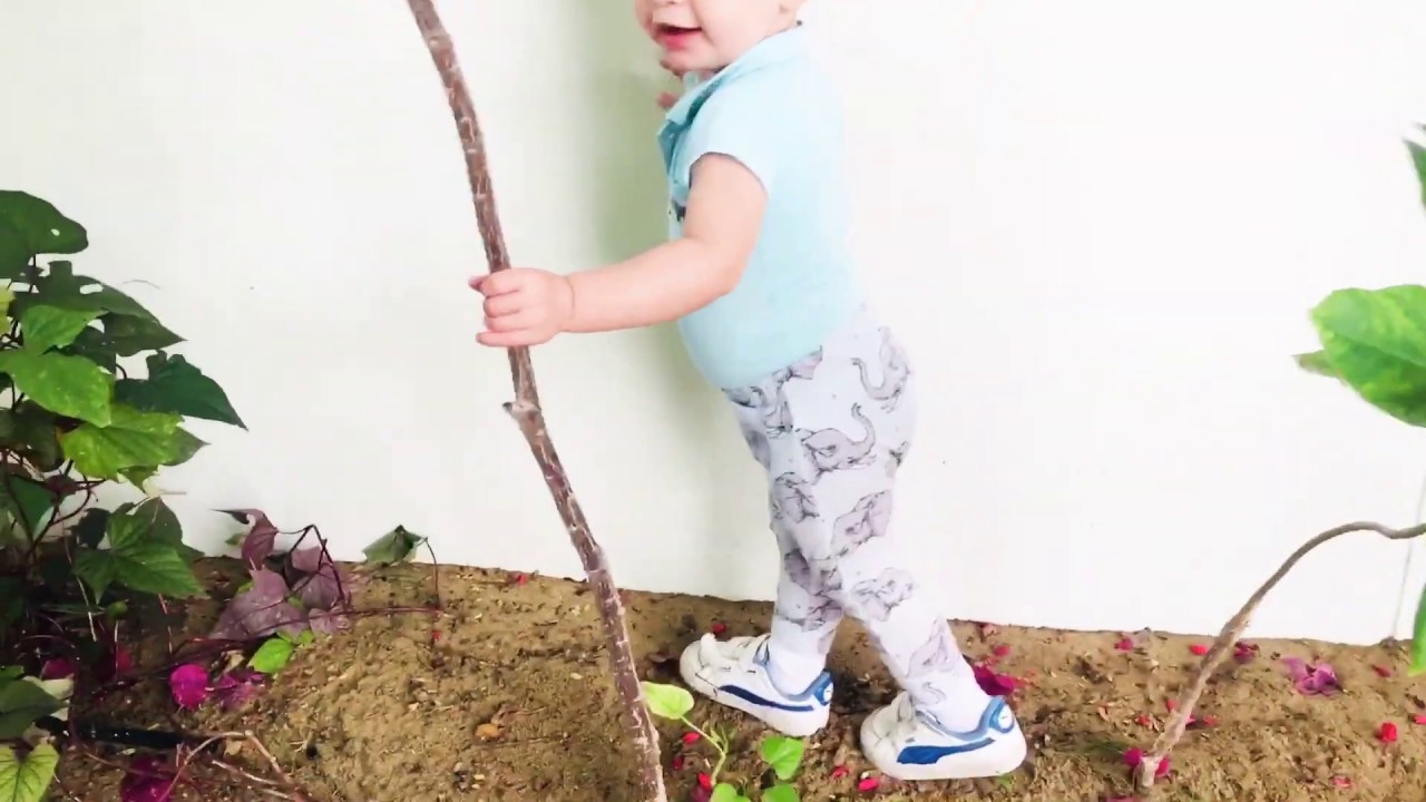 Al Safa Second/Almanda Villa/Al wasal Road,Umciquem 1,Dubai - YouTube