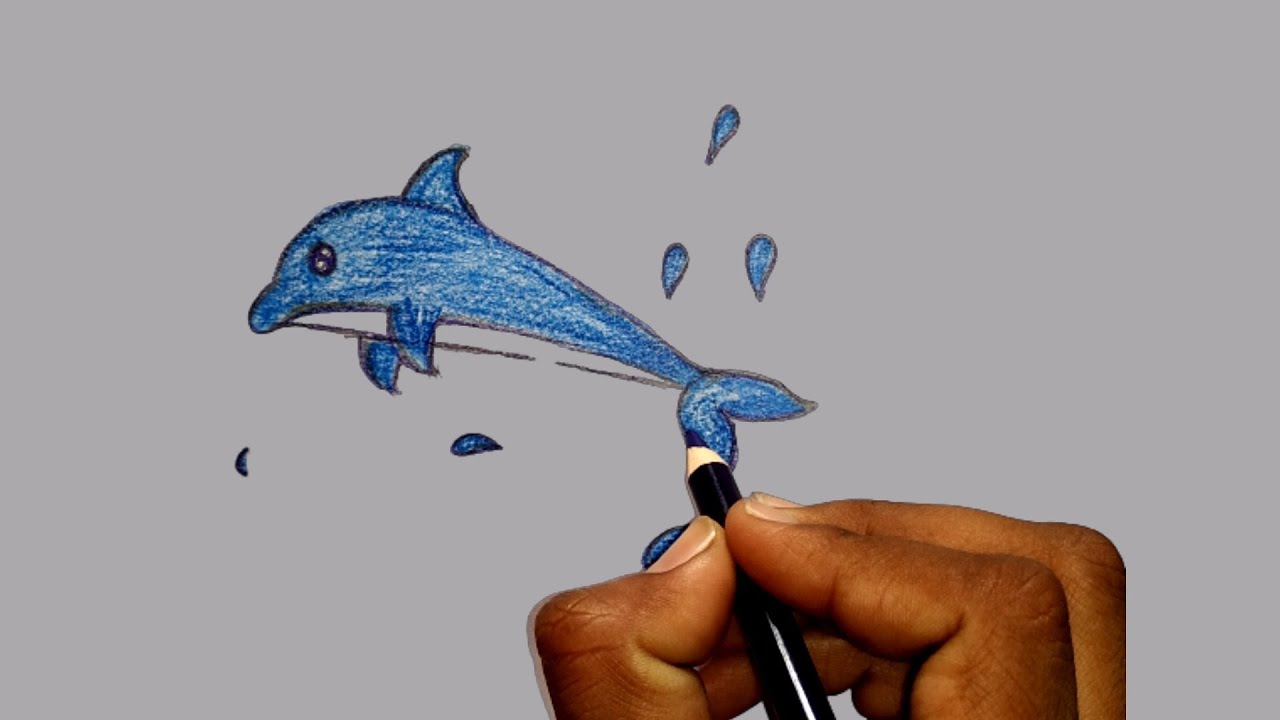 How To Draw A Dolphin🐬 Step by step For Kids - YouTube
