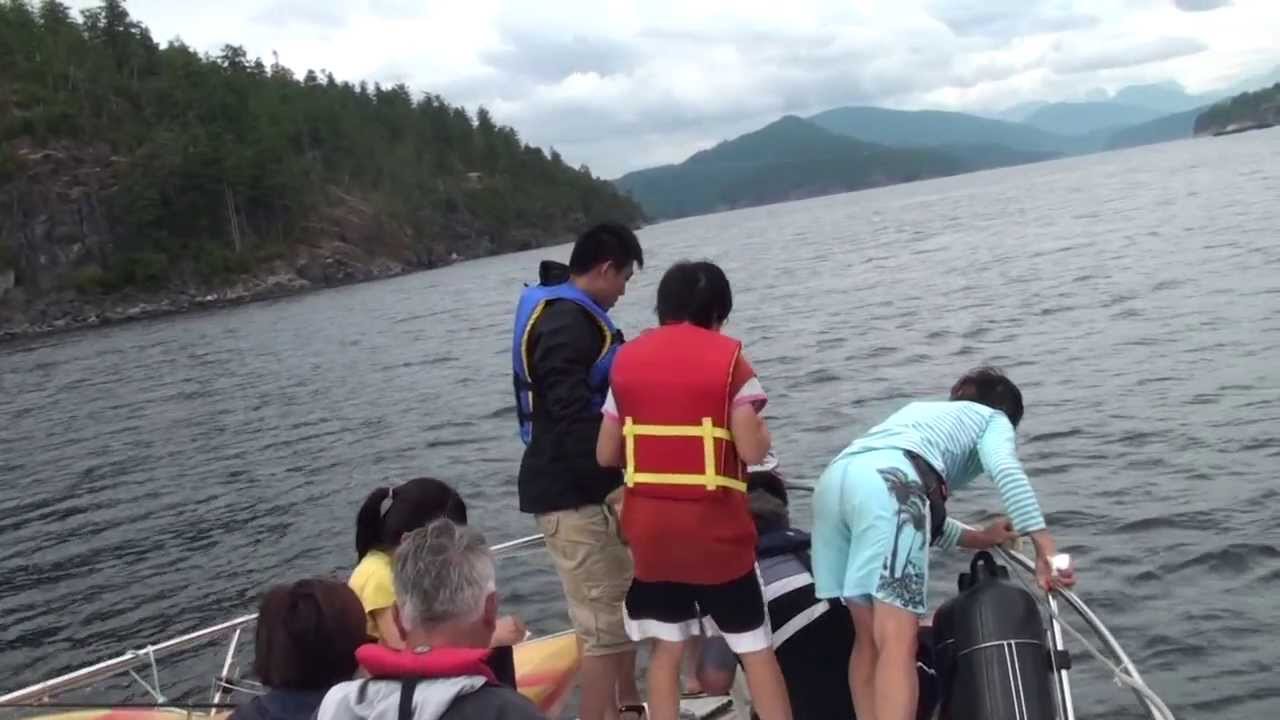 Pender Harbour Sunshine Coast BC CANADA - YouTube