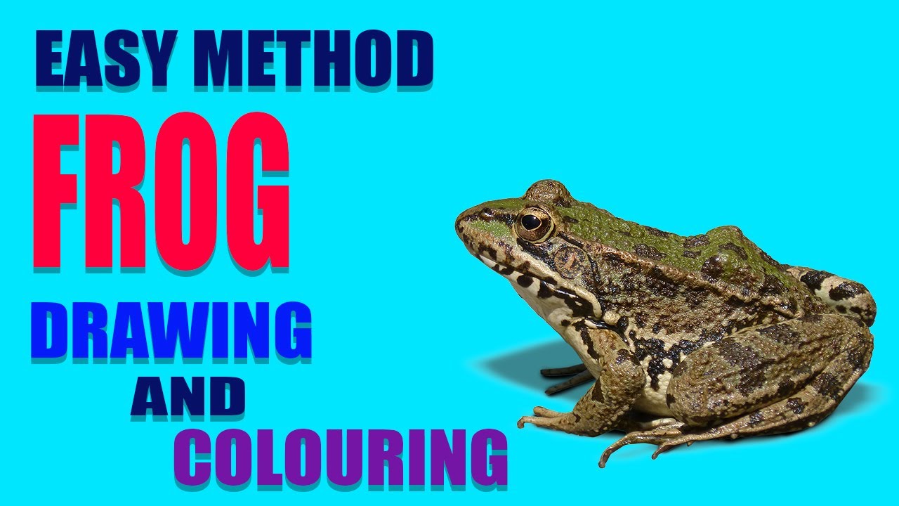 EASY METHOD FROG DRAWING AND COLOURING || HOW TO DRAW FROG || FROG ...