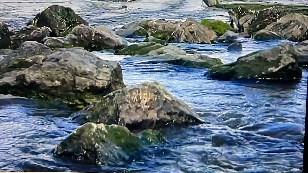 Relaxing nature ambience, Calming running water sounds, The best water ...