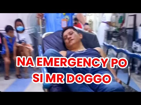 NA EMERGENCY PO SI MR DOGGO - YouTube