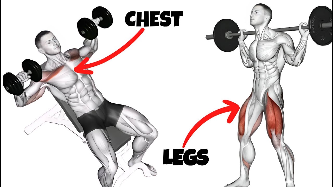 6 exercises for legs & chest - YouTube