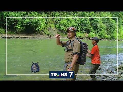 MANCING MANIA - PREDATOR OMPONG SUNGAI GEUMPANG (10/9/16) 3-1