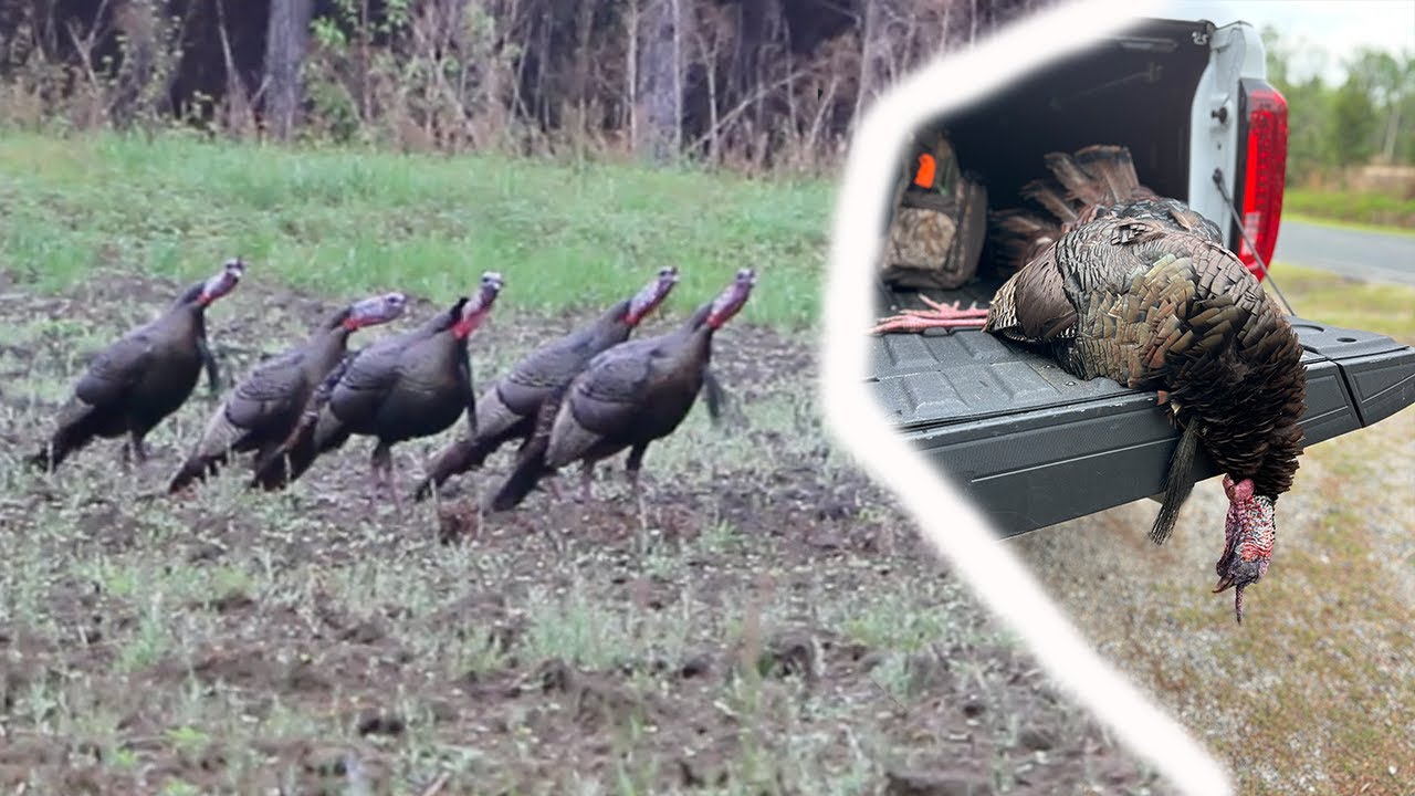 Epic Turkey Hunt and the 1st Gobbler of the Season!!! #hunting # ...