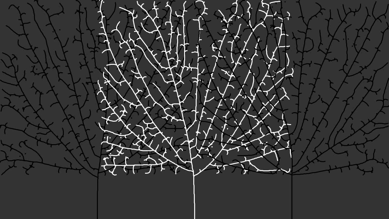 FRACTAL TREE #3 - Space Colonization - YouTube