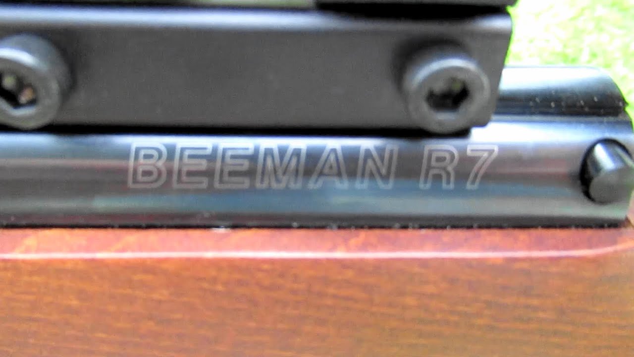 Sunday Afternoon Plinking with a Beeman R-7 (HW 30S) - YouTube