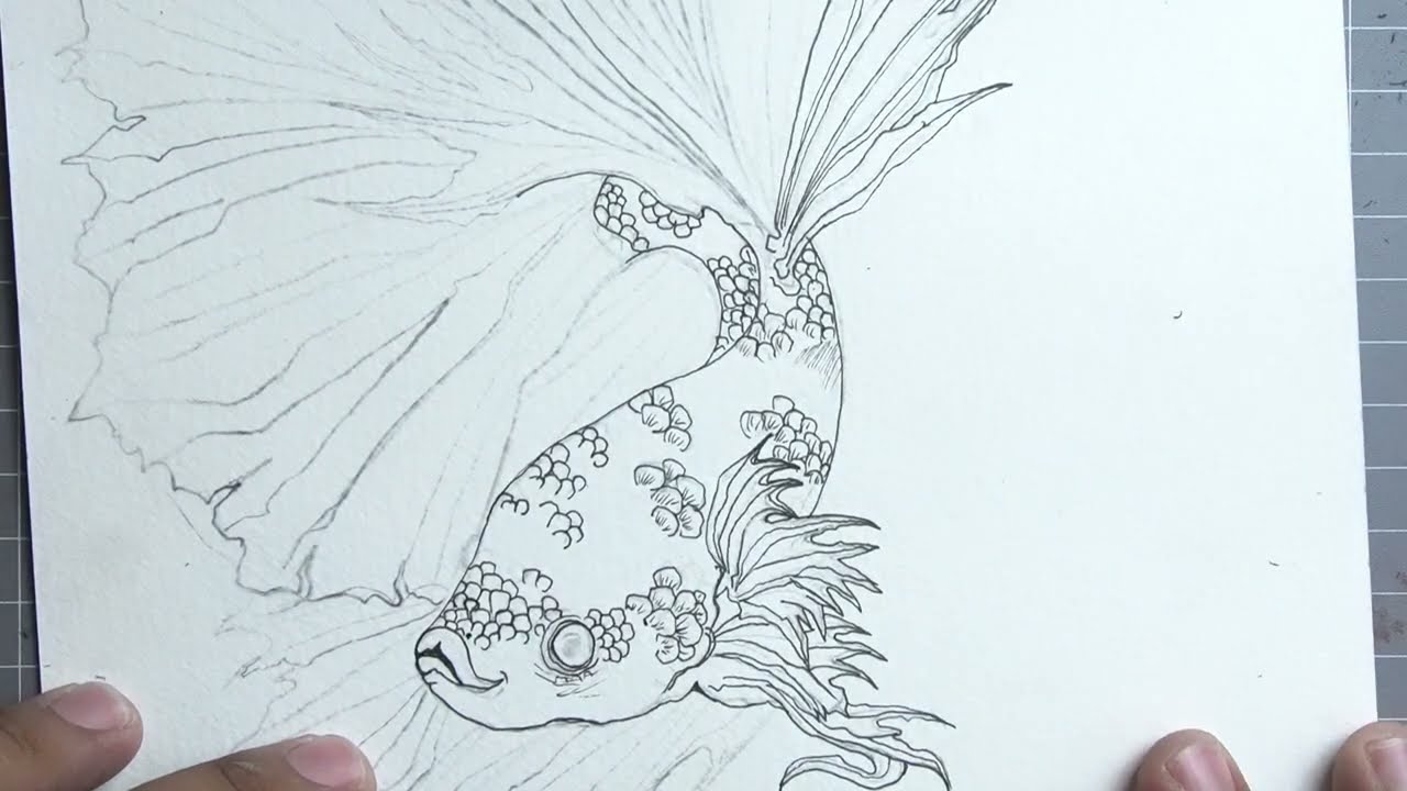 EEasy anime Drawing || How to draw anime with fish@ - YouTube