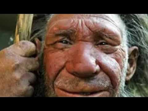 Montessori the Third Great Lesson: the Coming of Humans - YouTube