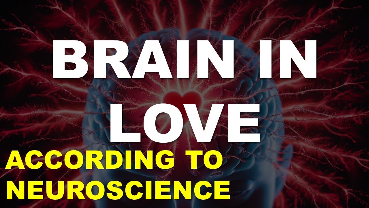 Brain in Love: Understand What Happens - YouTube