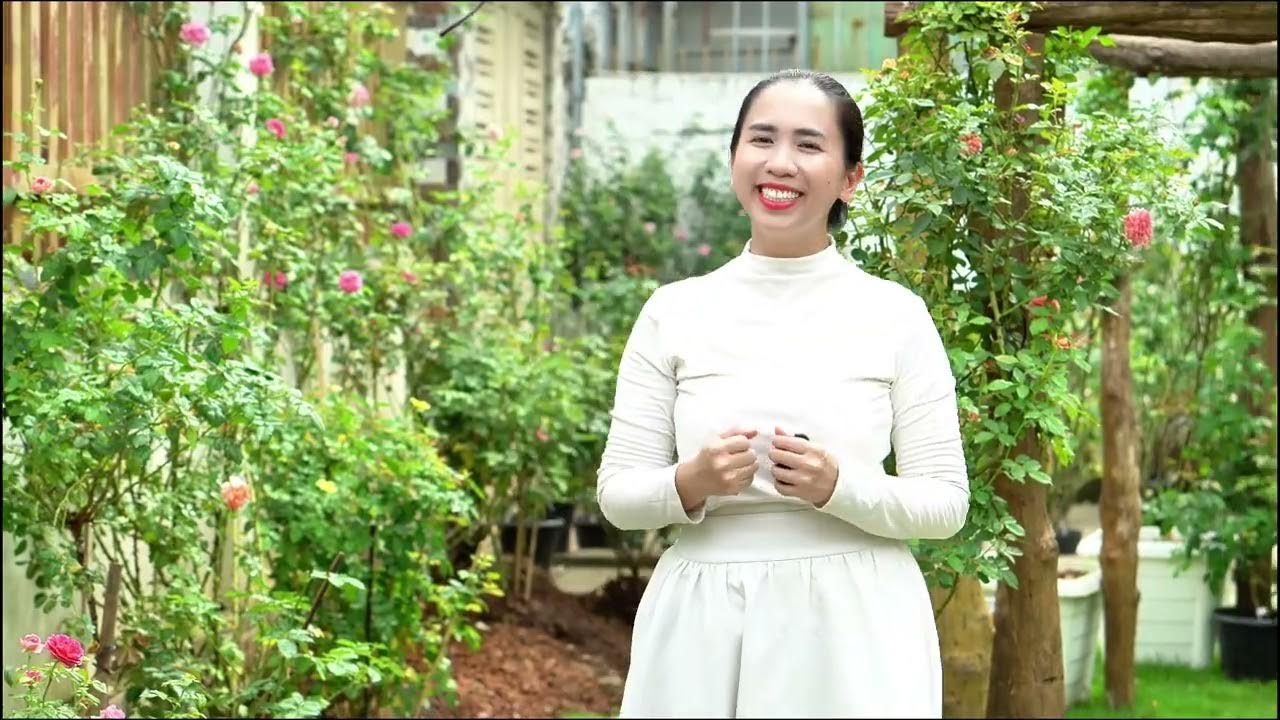 Bạn có đang mệt mỏi với cuộc sống - Hãy cùng Bé Kobeta chữa lành tâm hồn - YouTube