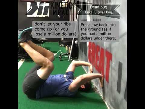 Dead Bug Wall Push - YouTube