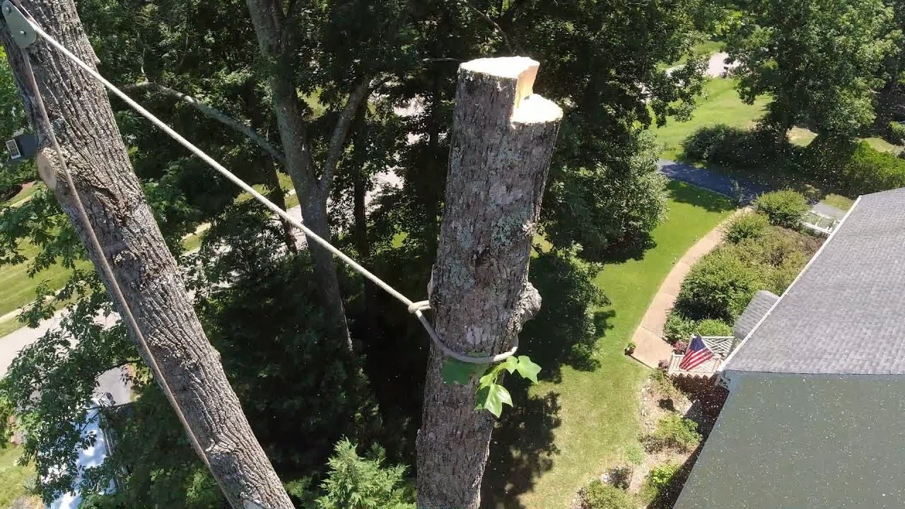 Multiple Takedowns #treework - YouTube