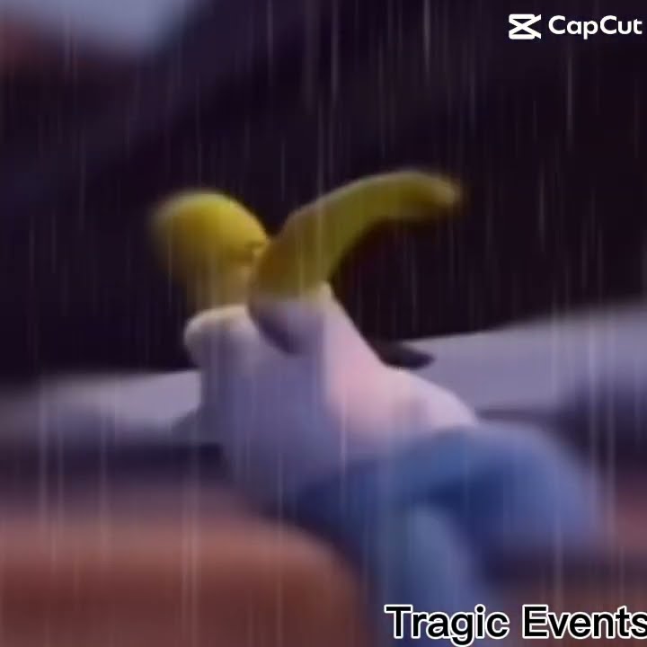 Sad tragic events😞 - YouTube