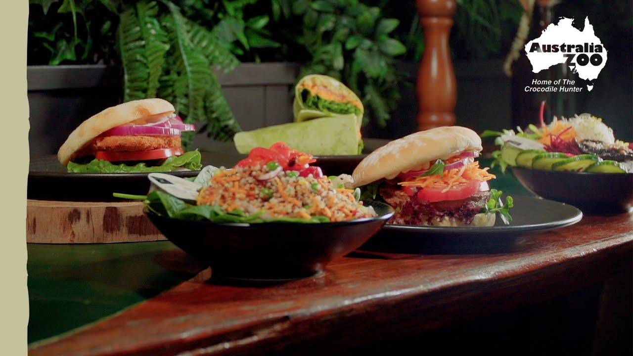 Vegan menu at Australia Zoo! | Australia Zoo Life - YouTube