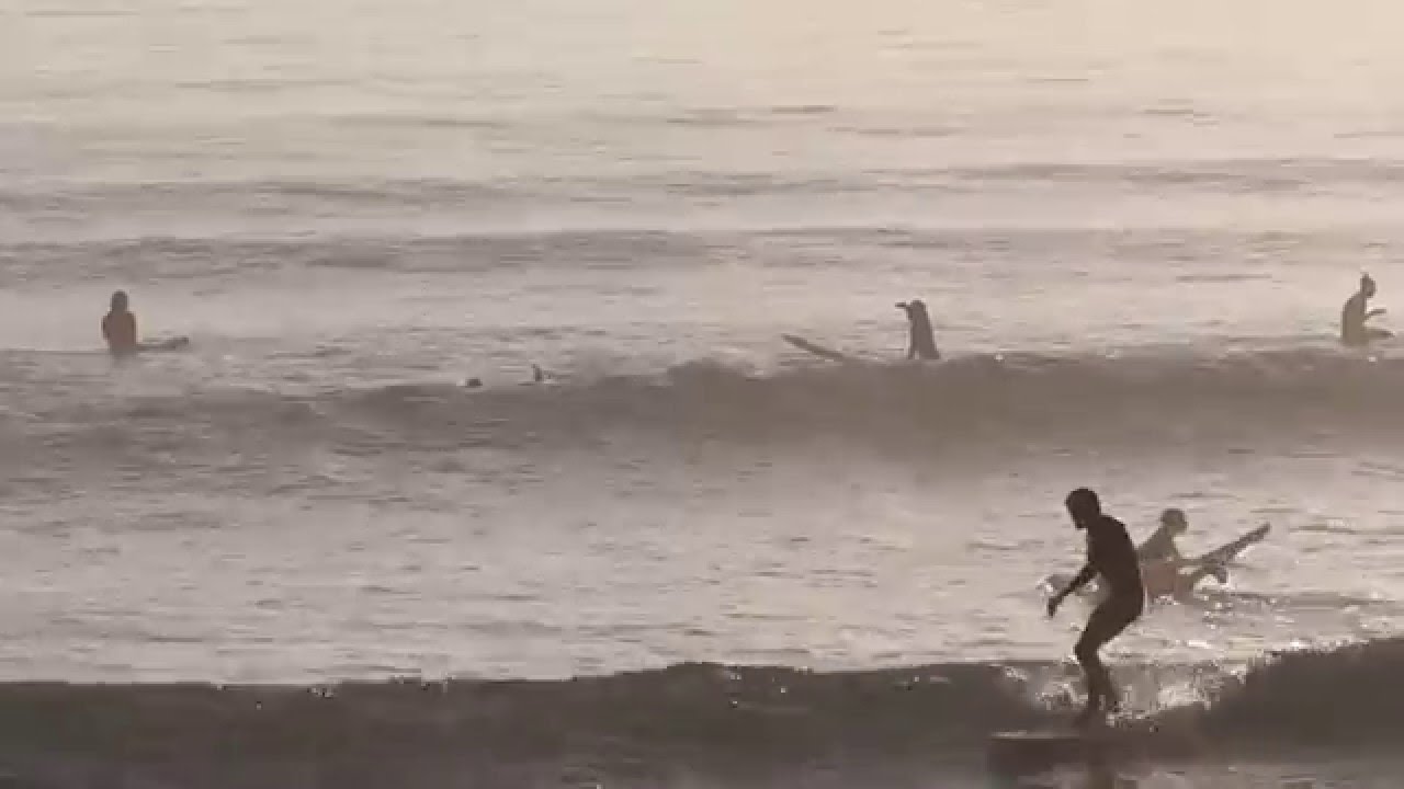 Terramar | Log Surfing at Sunset | Carlsbad, CA | 2/11/16 - YouTube