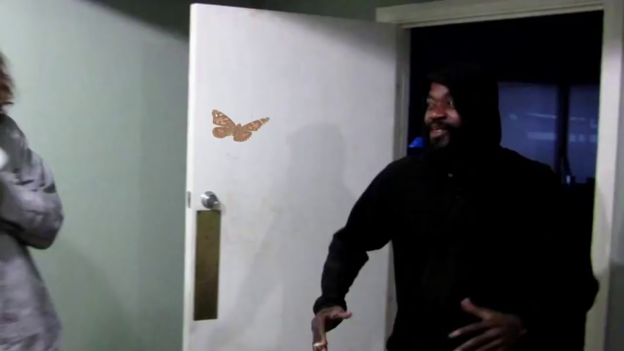 Mc Ride sees a moth 34x slower - YouTube