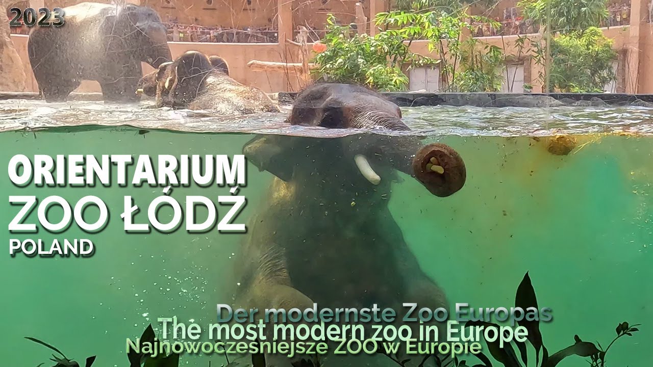 Orientarium ZOO Łódź 2023 Poland - Warte zobaczenia - Der modernste Zoo ...