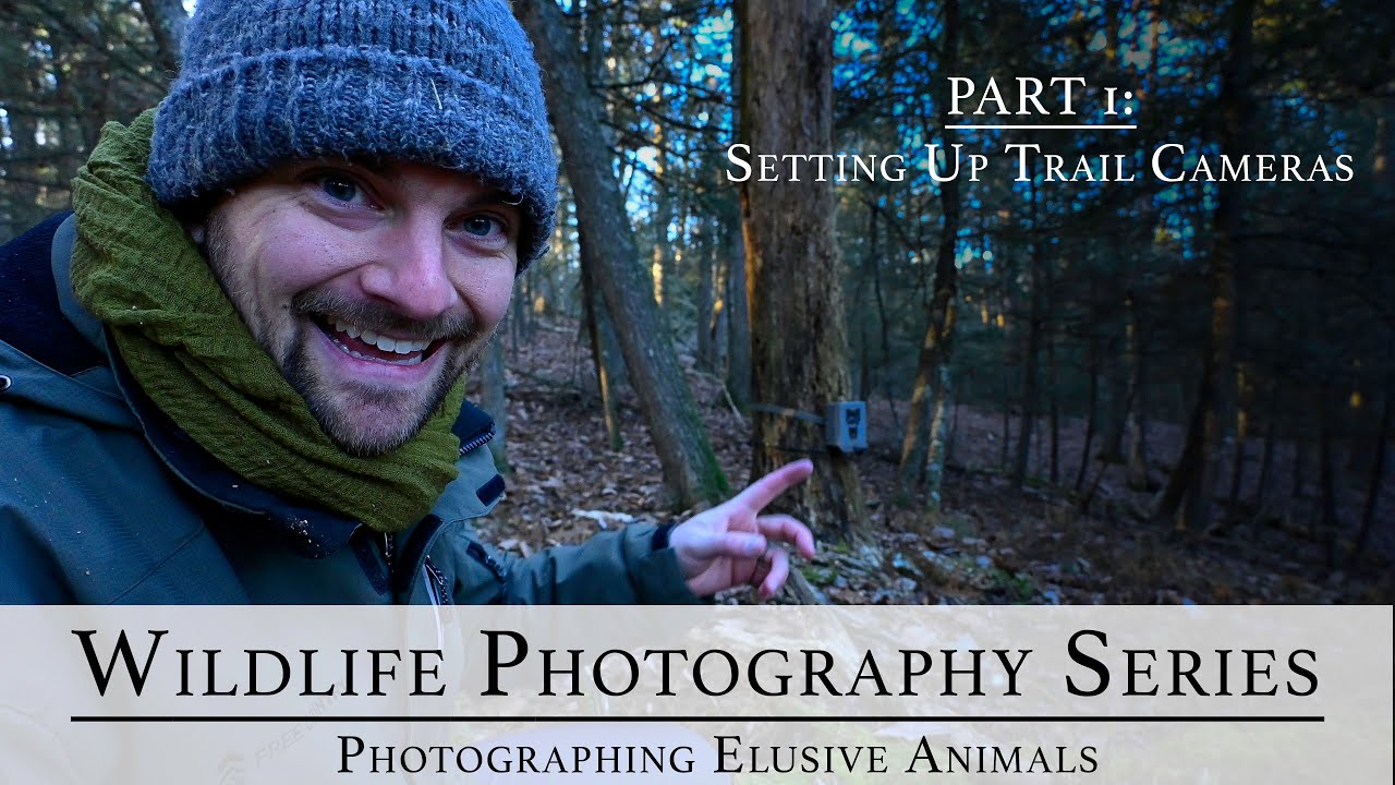 Photographing Elusive Animals | Wildlife Photography Series | Part 1 ...