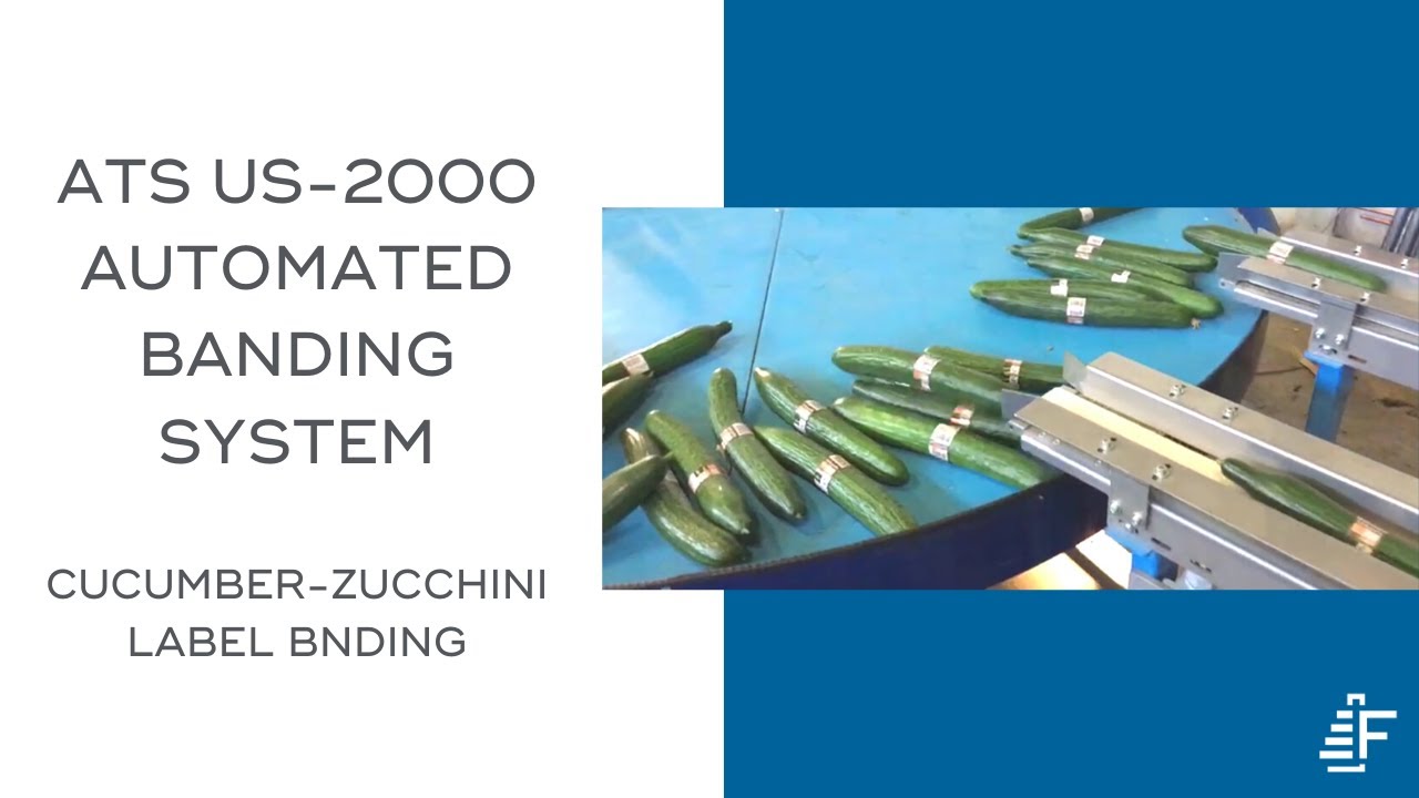 Cucumber-Zucchini Banding ATS US-2000 Automated Banding Systems - YouTube