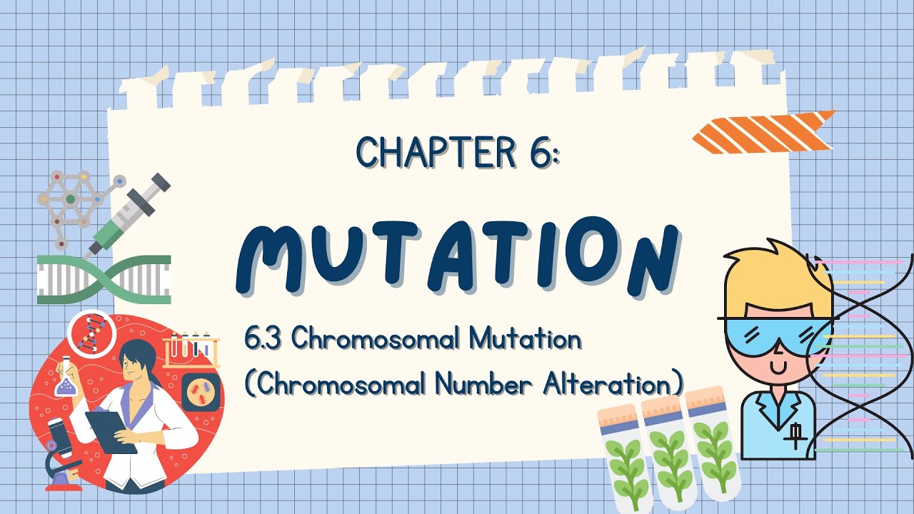 Tutorial 2 Week 13 Chromosome Number Alteration - YouTube