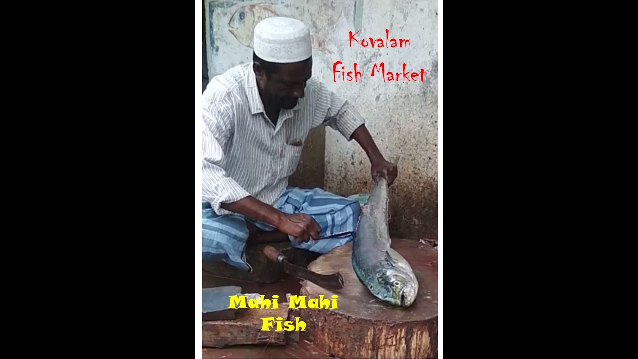 Mahi Mahi fish | Parla | KalVanna | pulli vanjaram | fish cutting ...