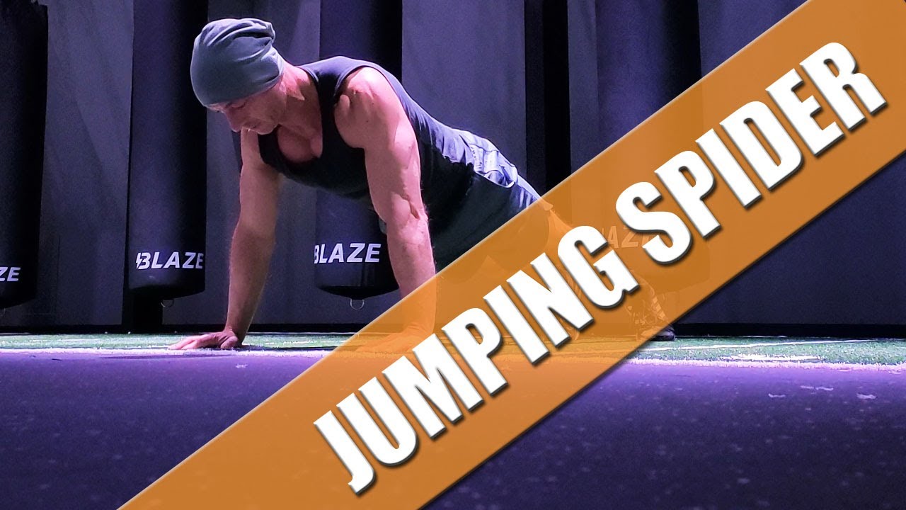 JUMPING SPIDER | plyometric Bodyweight Exercise | effektive ...