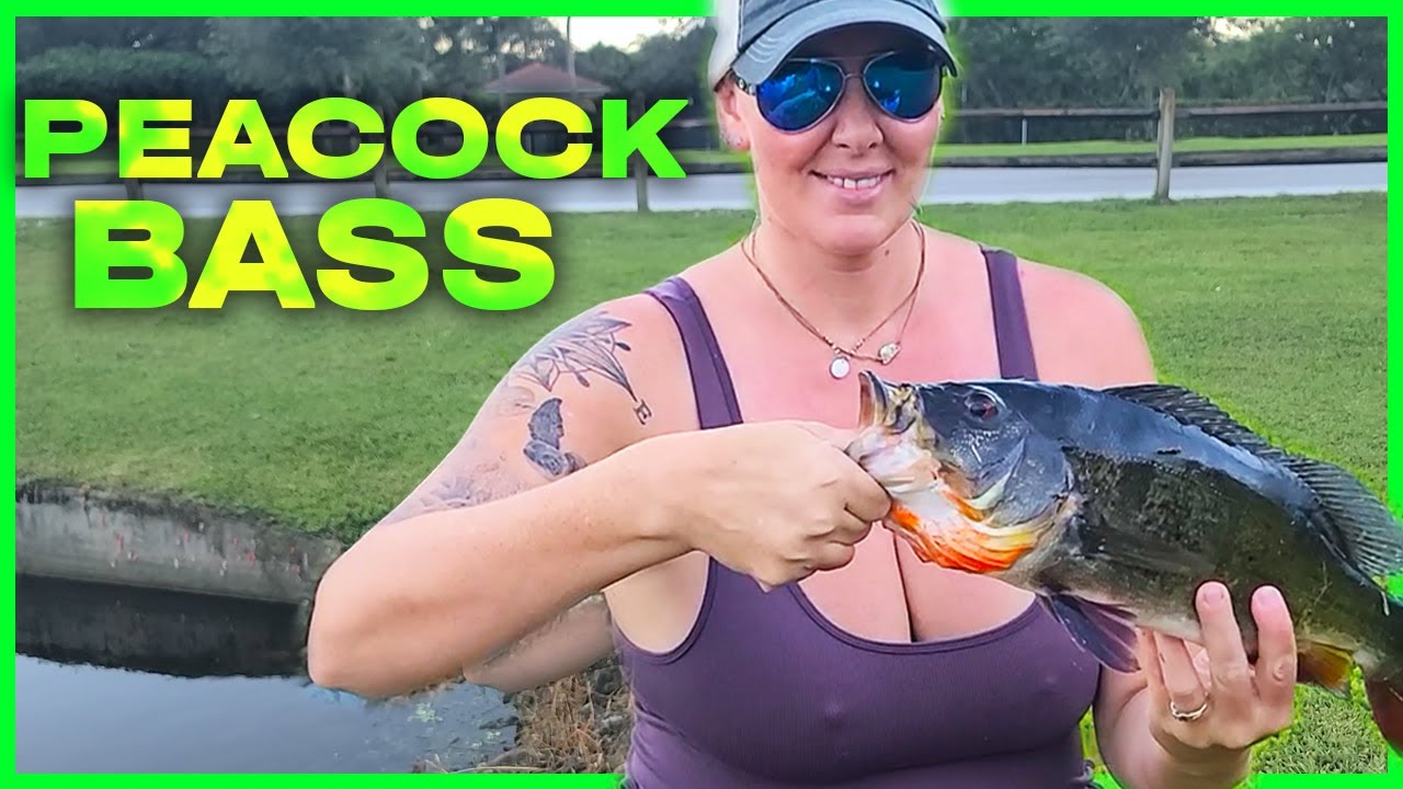 We Got DRENCHED Fishing For MONSTER Peacock Bass! South Florida Sewer ...