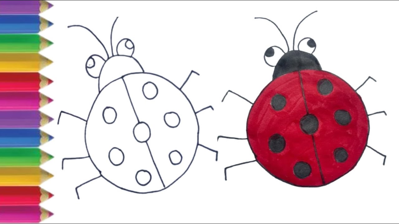 How to draw lady bug || step by step || easy lady bug || easy drawing ...