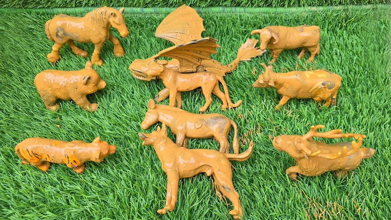 Uncovering the Hidden Trails of the Wild Forest and Jungle Animals ...