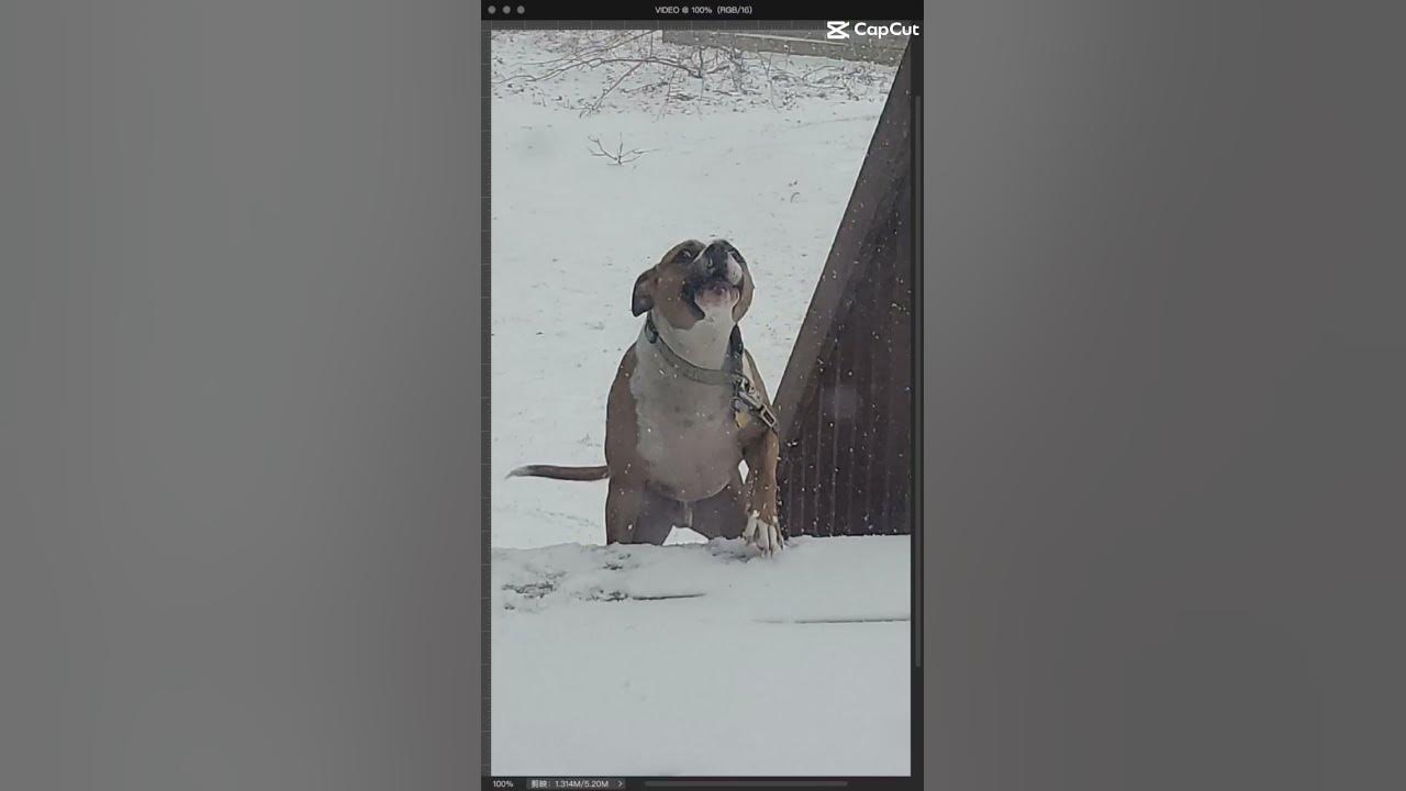 how-many-dag-photos-do-i-have-youtube