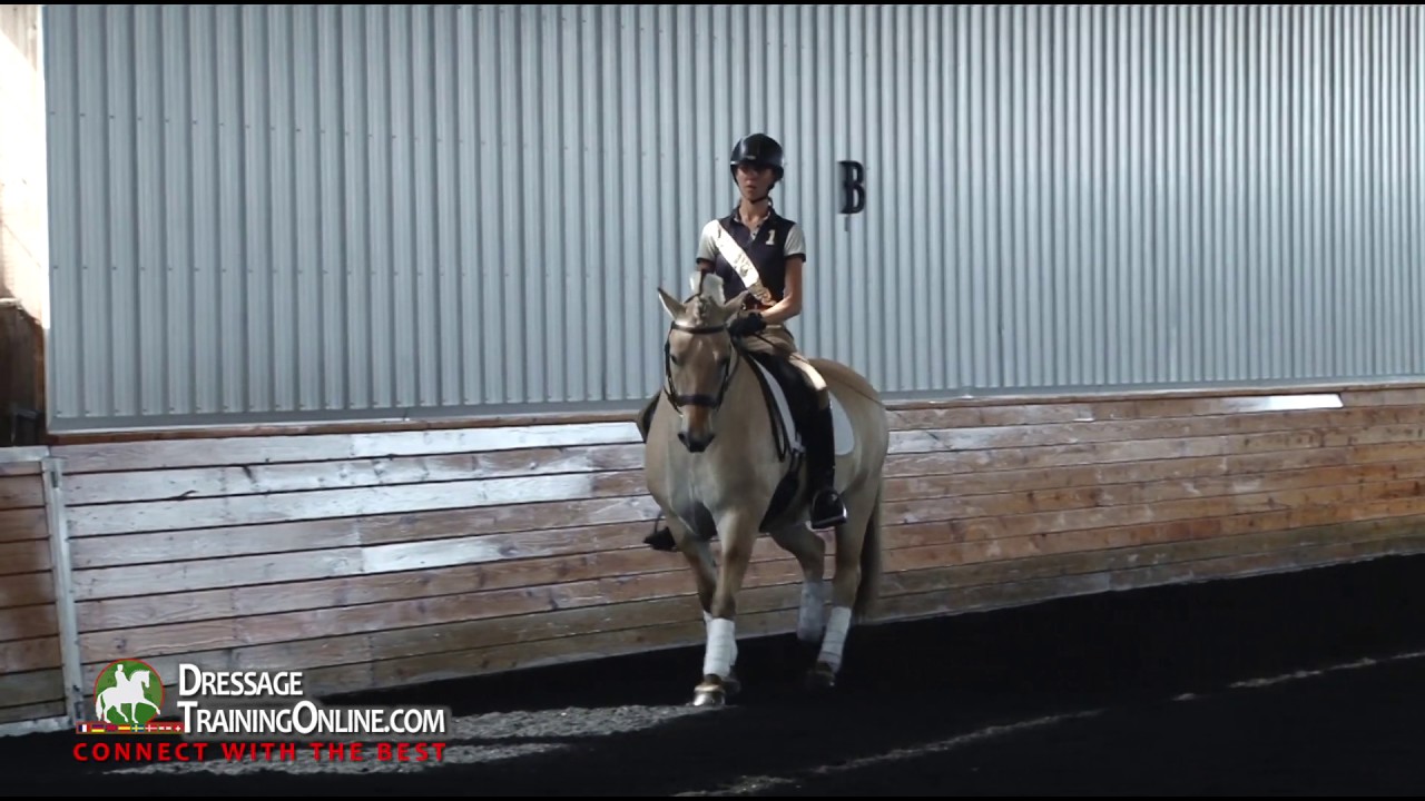 Dressage training on how to improve the trot with Olympian Courtney ...