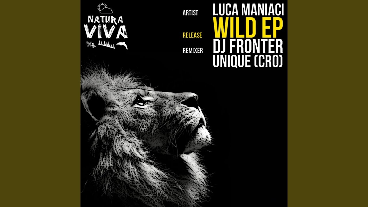 Wild (Unique (CRO) Remix) - YouTube