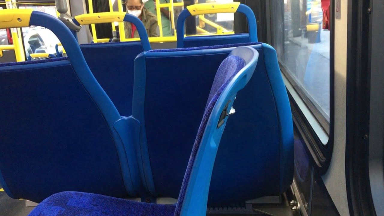 Bee-Line Bus: 2019 New Flyer XDE60 #343 Onboard on the 1 to City Line ...