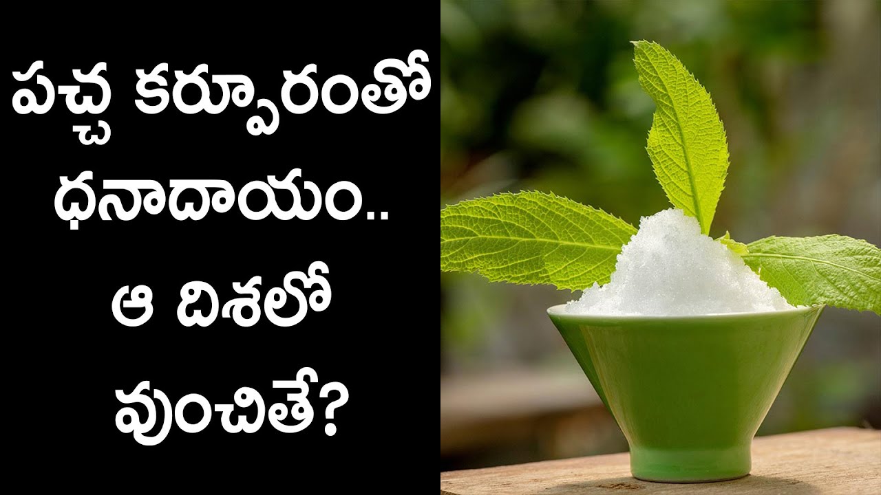 Spiritual benefits of Edible Camphor - YouTube